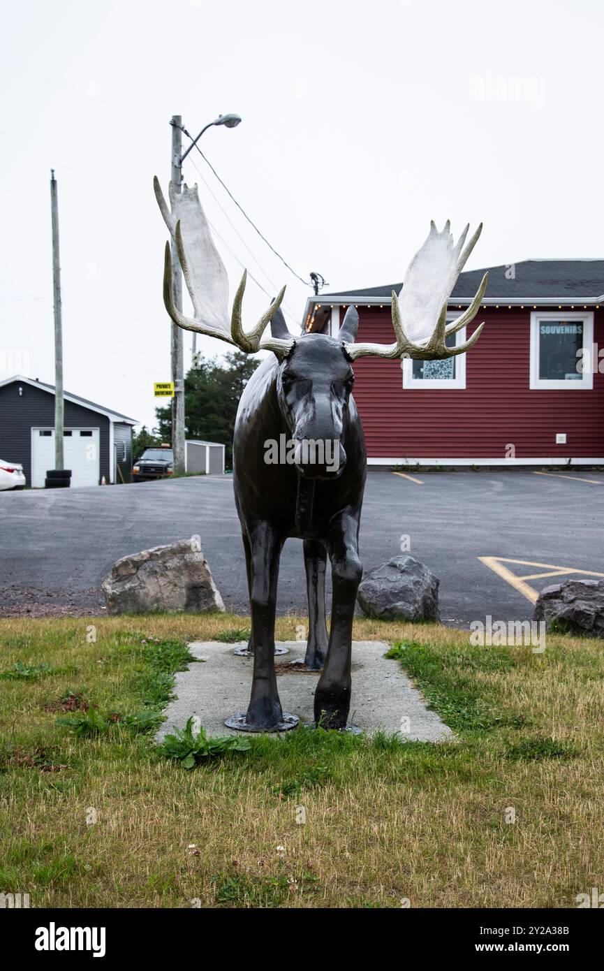 Moose sculpture at Brown's Restaurant on NL 80 in Whiteway ...