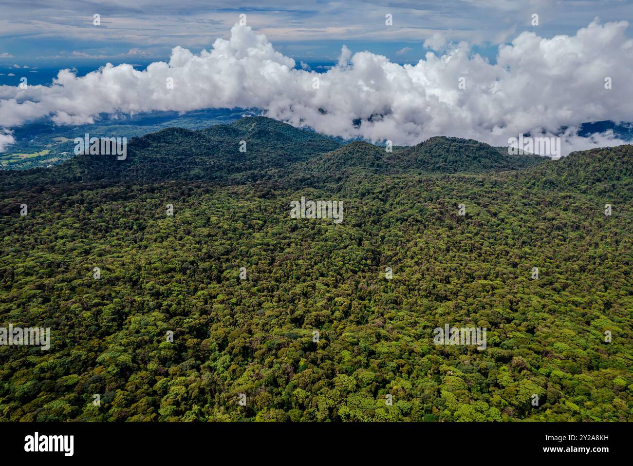 Aerial view carrillo in costa hi-res stock photography and images - Alamy