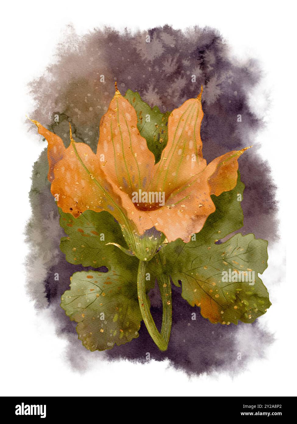 Unique design captures Cut Out Stock Images & Pictures - Alamy