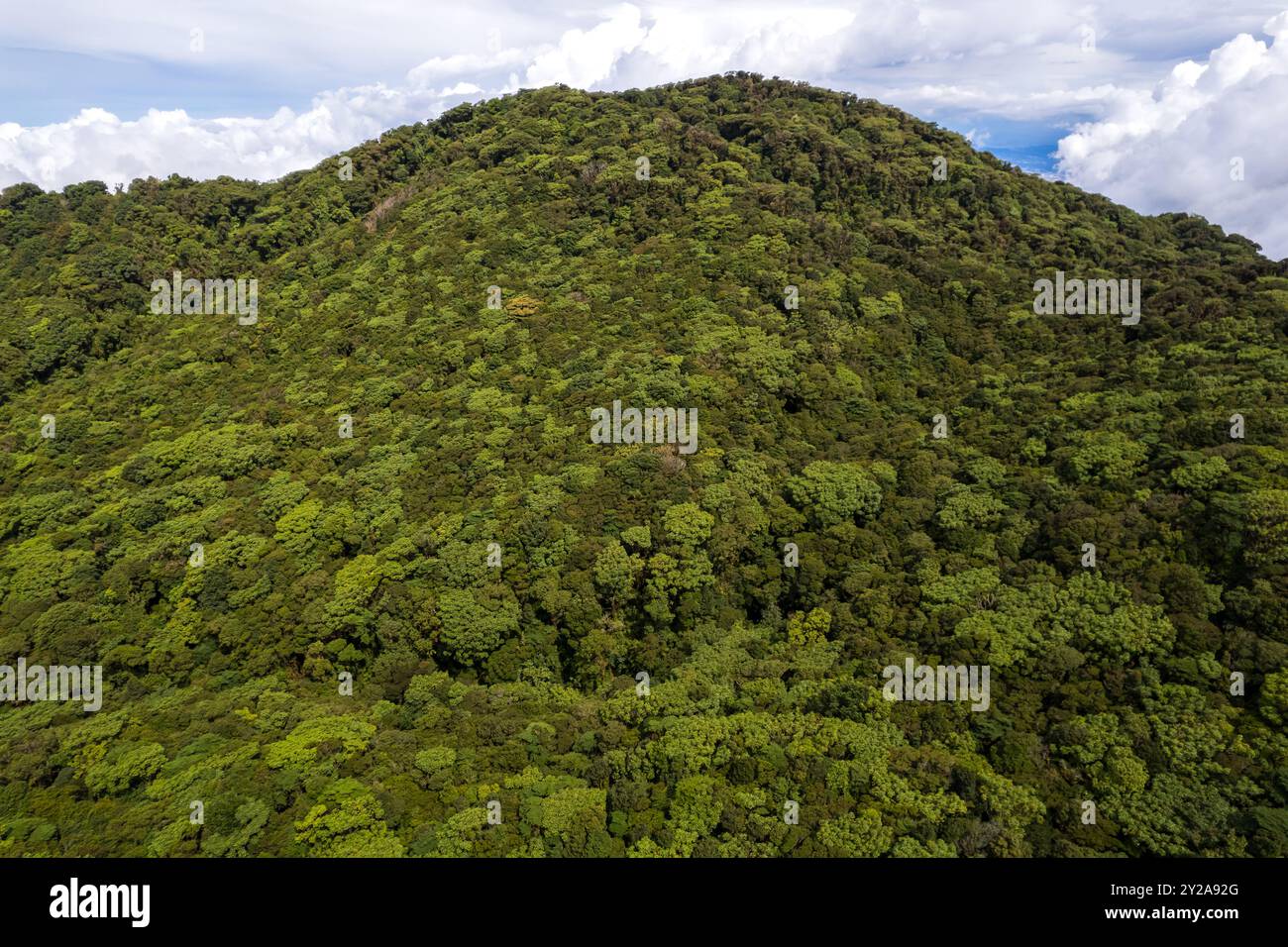 Beautiful aerial view of the Barva Volcano in the Braulio Carrillo ...