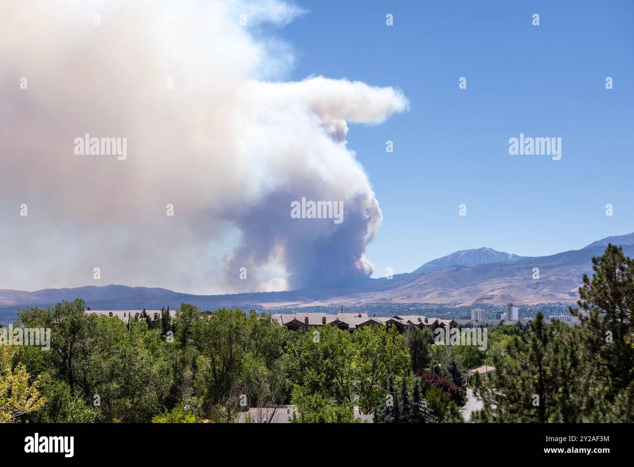 Massive plume of wildfire smoke seen over Reno Nevada from the Davis fire over trees and housing ...