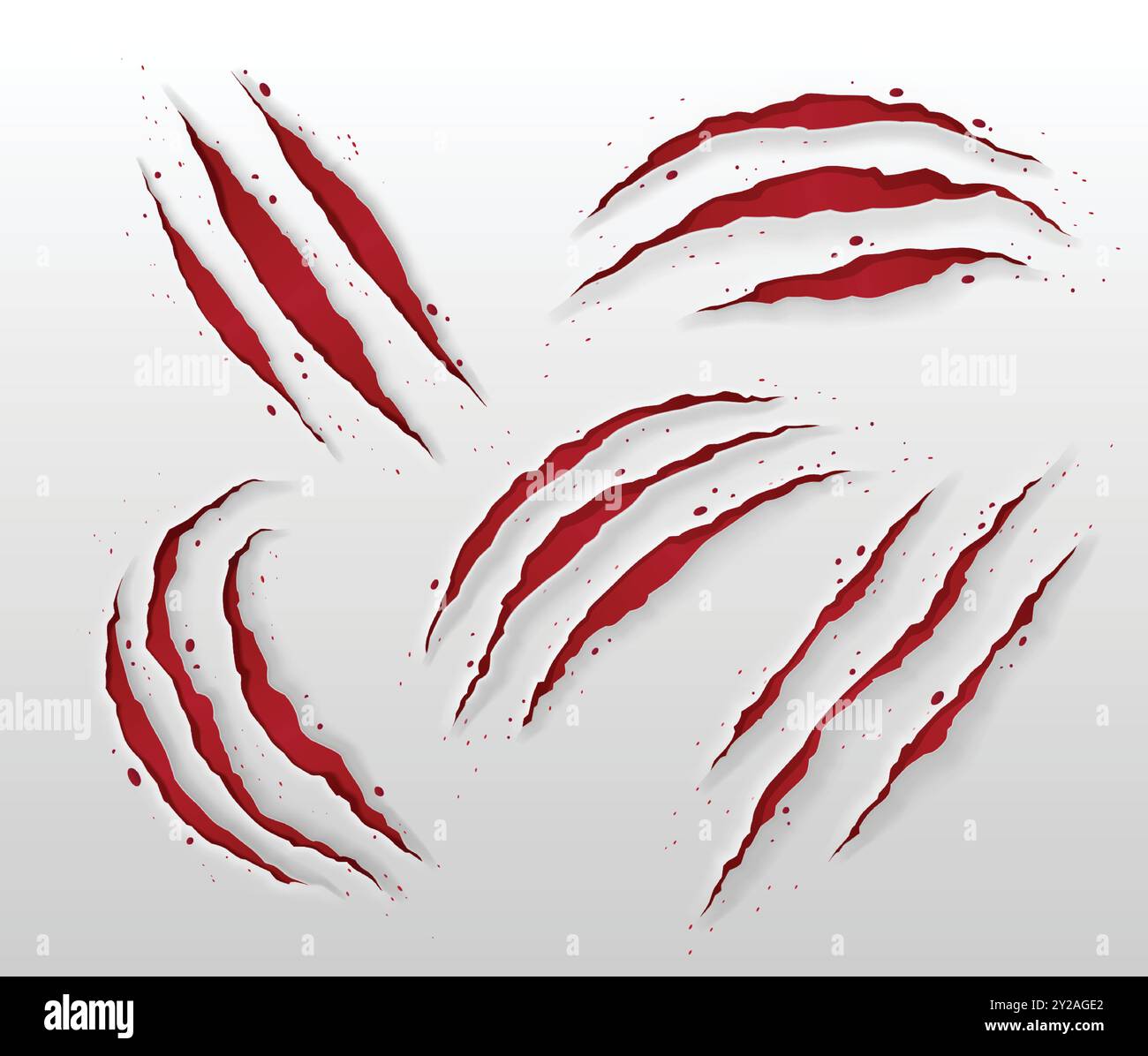 Lion and tiger and bear hi-res stock photography and images - Alamy