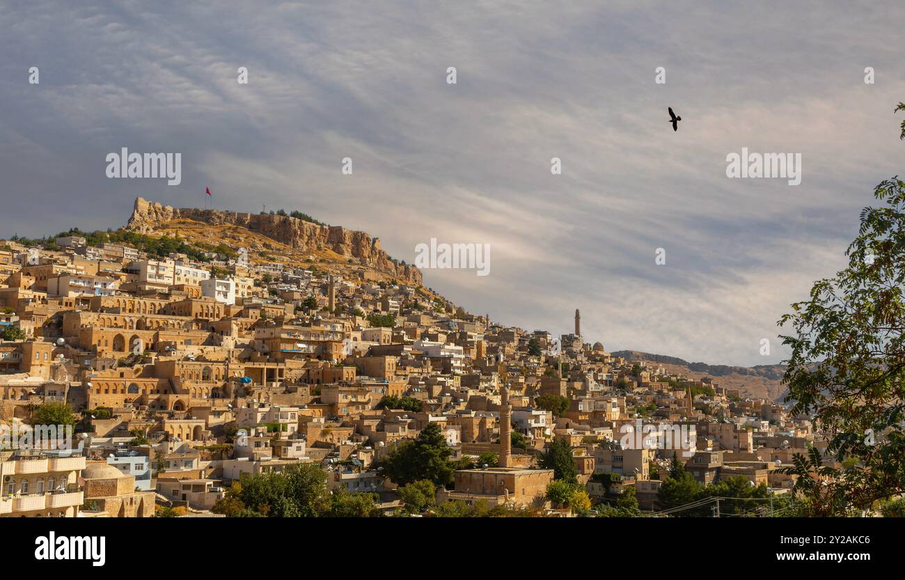Ancient and stone houses of Old Mardin (Eski Mardin) with Mardin Castle ...