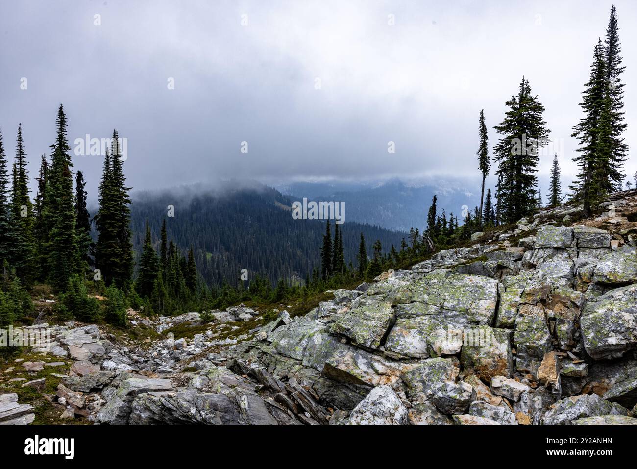 Area B (Shelter Bay/Mica Creek), Canada. 09 September, 2024 Pictured ...
