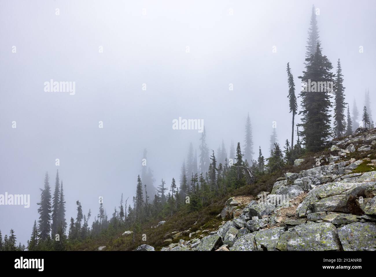 Area B (Shelter Bay/Mica Creek), Canada. 09 September, 2024 Pictured ...