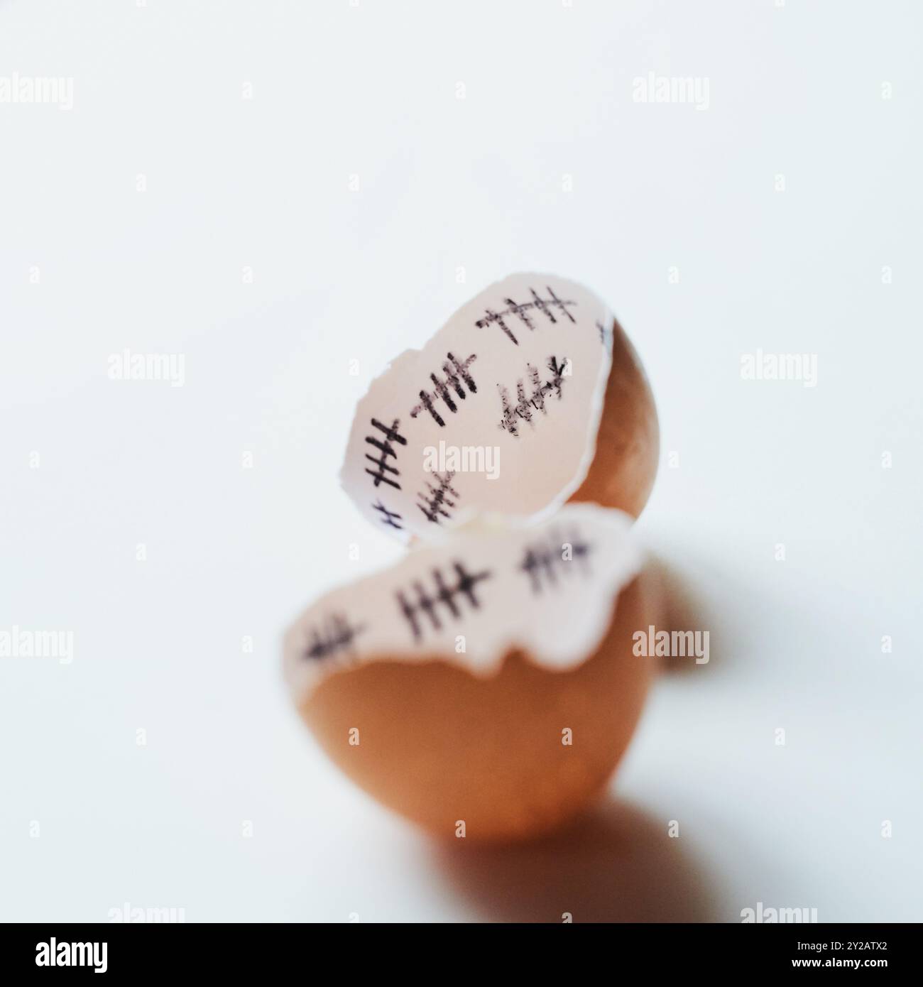Broken, egg and shell with date in studio on white background for ...