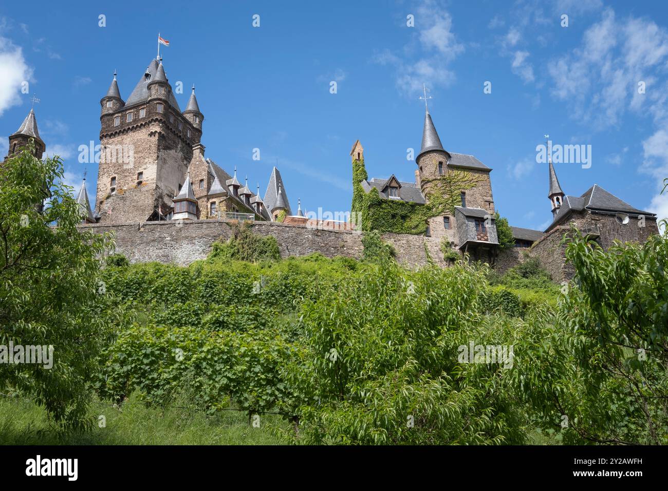 Medieval Cochem castle in the middle of vineyard, Germany Stock Photo ...