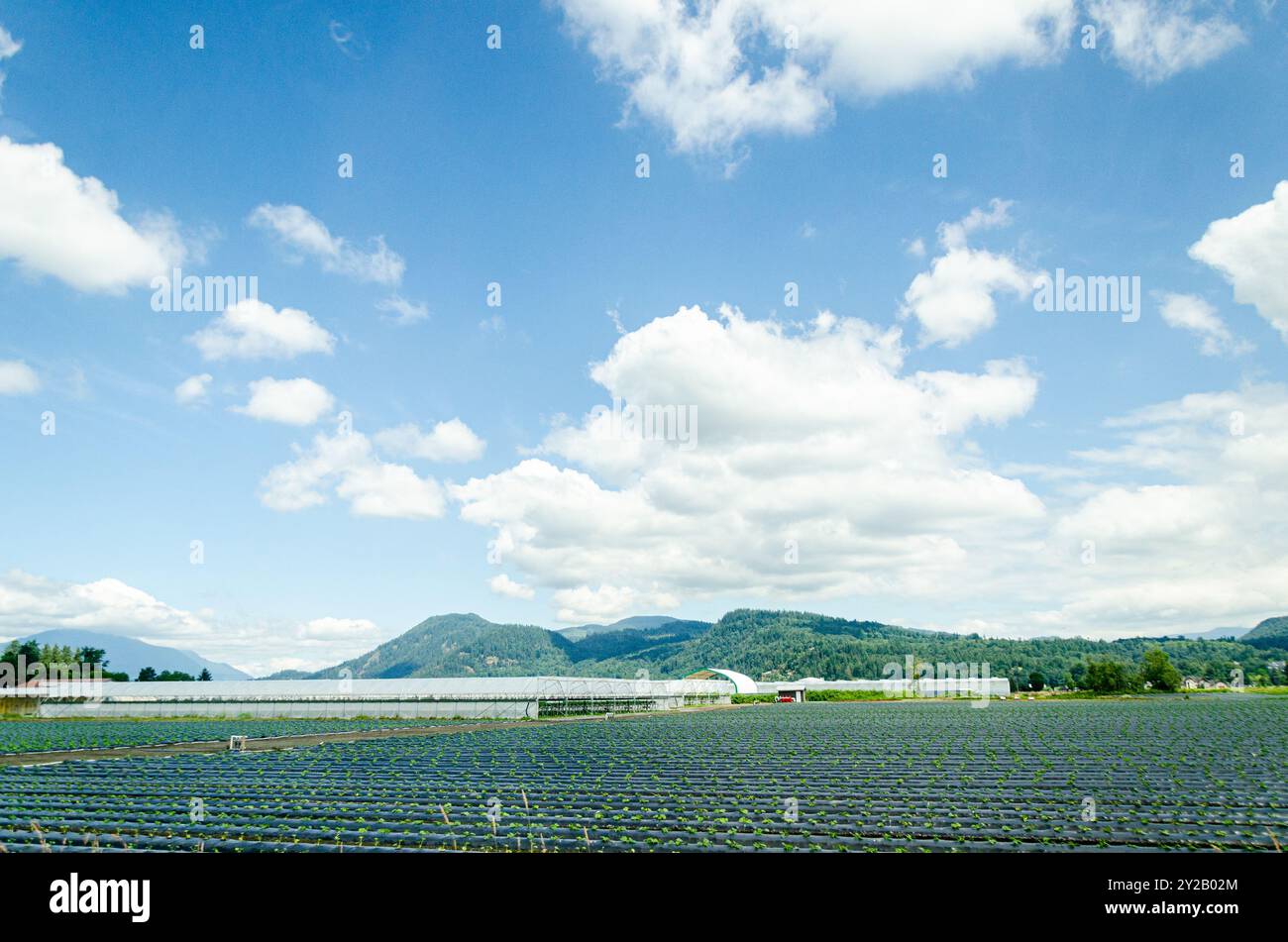Agricultural land in bc hi-res stock photography and images - Alamy