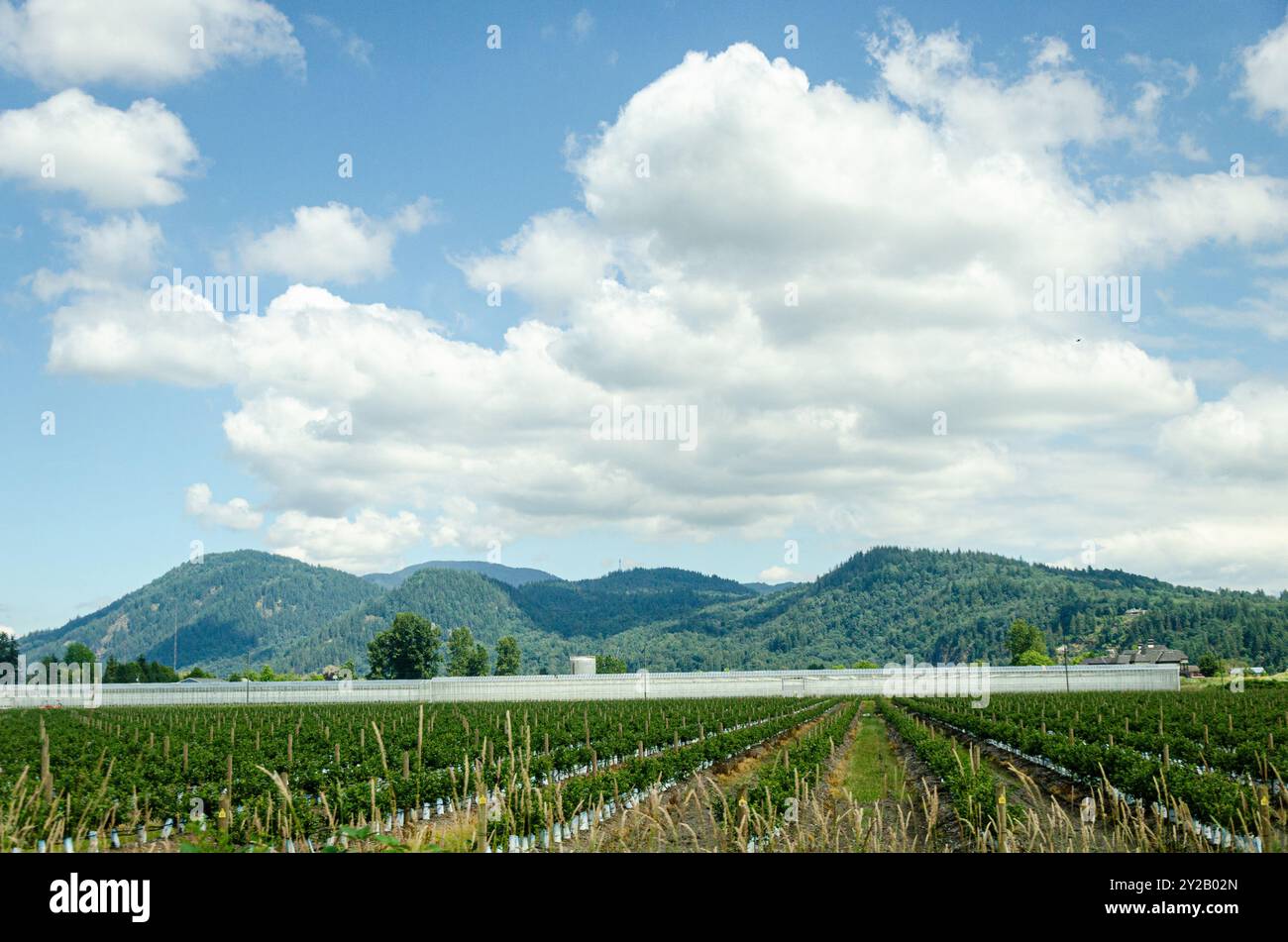 Agricultural land in bc hi-res stock photography and images - Alamy