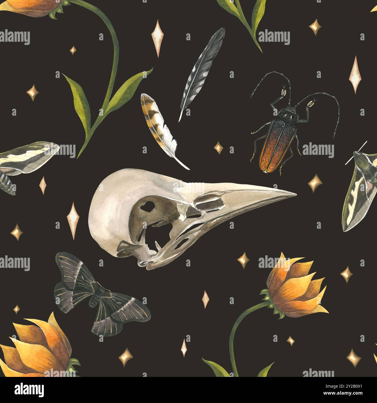 Skulls of a raven, butterfly, moth, beetle, bird feathers and flower ...