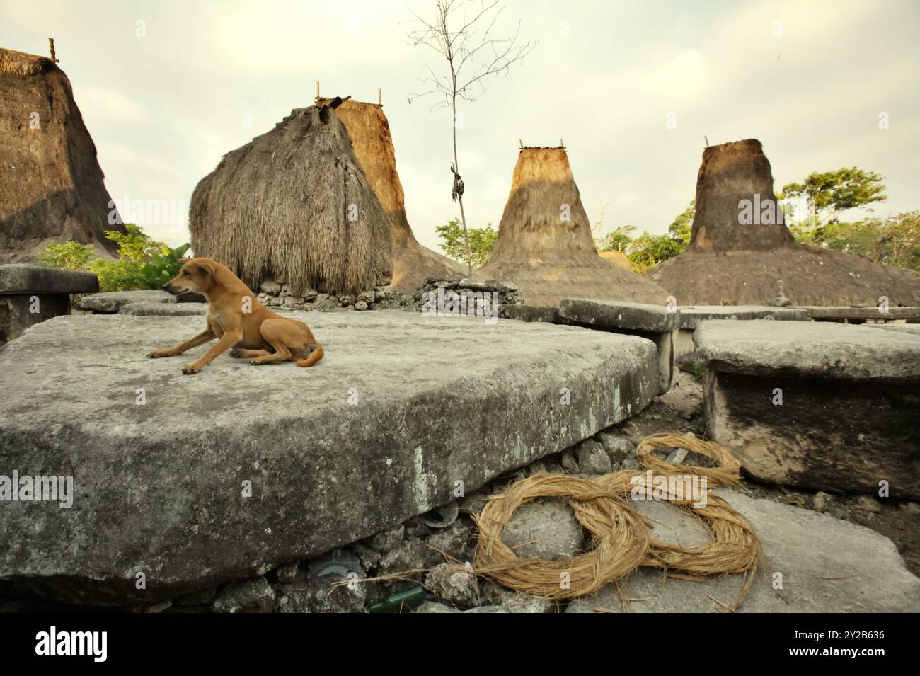 Megalithic tombs in traditional village of Tarung in Soba Wawi, Loli ...