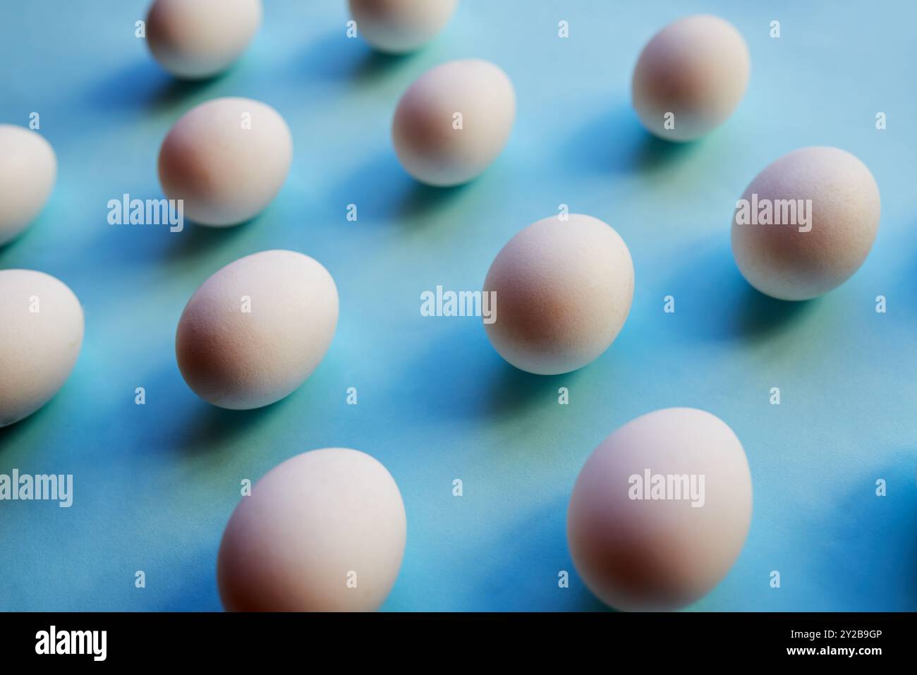 Eggs, row and shell with shadow in studio for creativity, reproduction ...