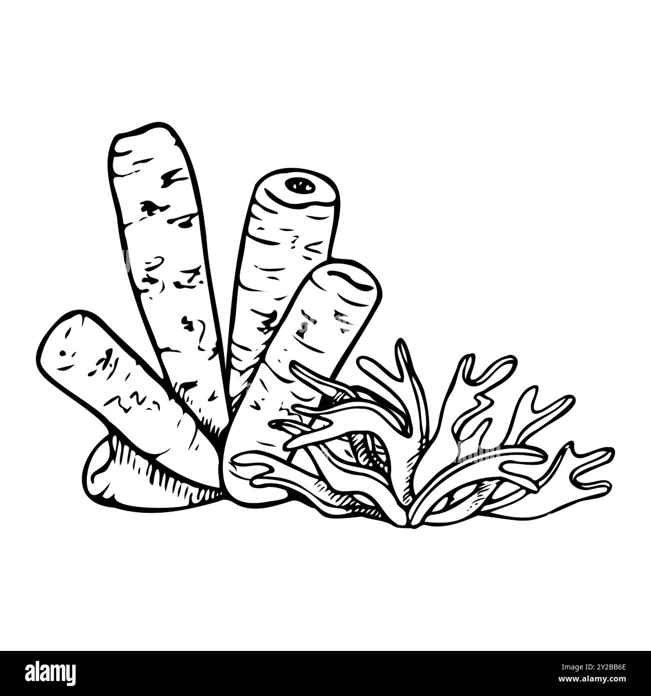Black and white tube sponge coral with seaweed Stock Vector Image & Art ...