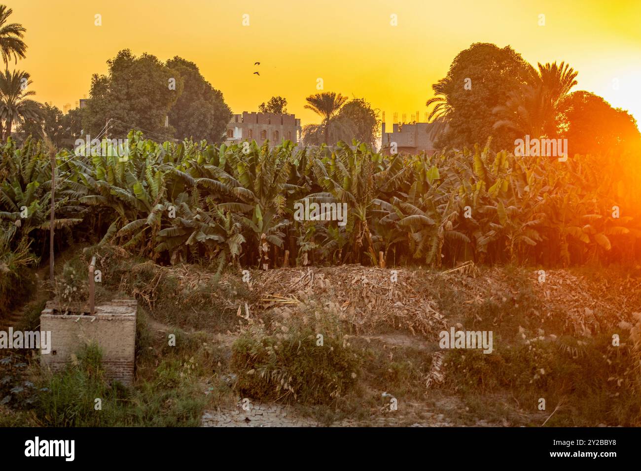 The authentic oasis of the Nile River, which is a symphony of sunsets ...