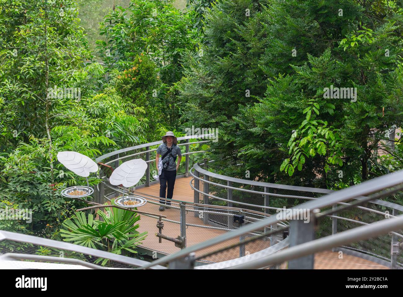 Asian male visitor with camera and hat walking through the designated ...