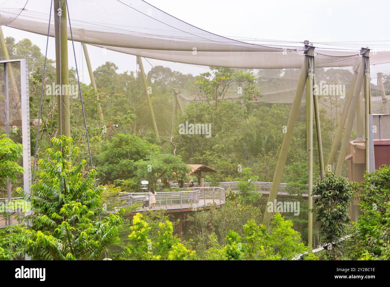 Tourists and locals tour within the aviary structure at Bird Paradise ...