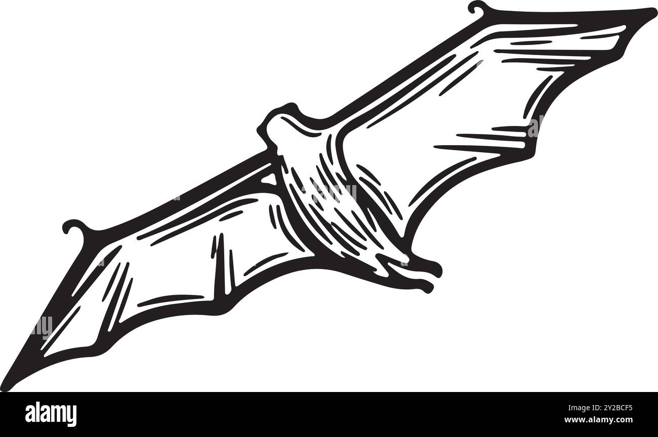 Engraved bat hand drawing vector isolated on white background Stock ...
