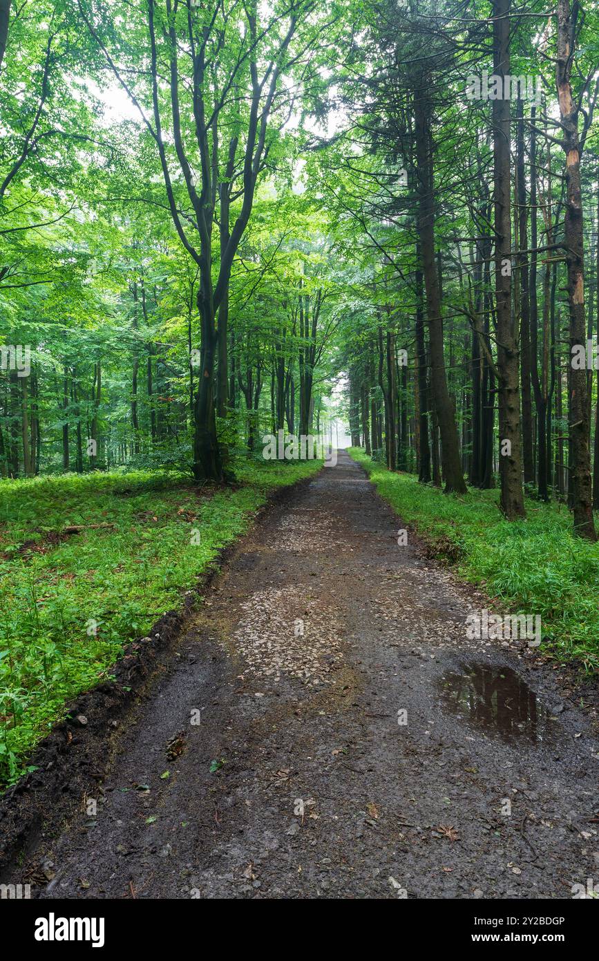 Lipovy velky hi-res stock photography and images - Alamy