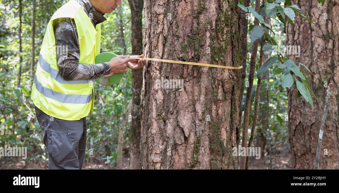 Deforestation are the anthropogenic source of atmospheric carbon ...