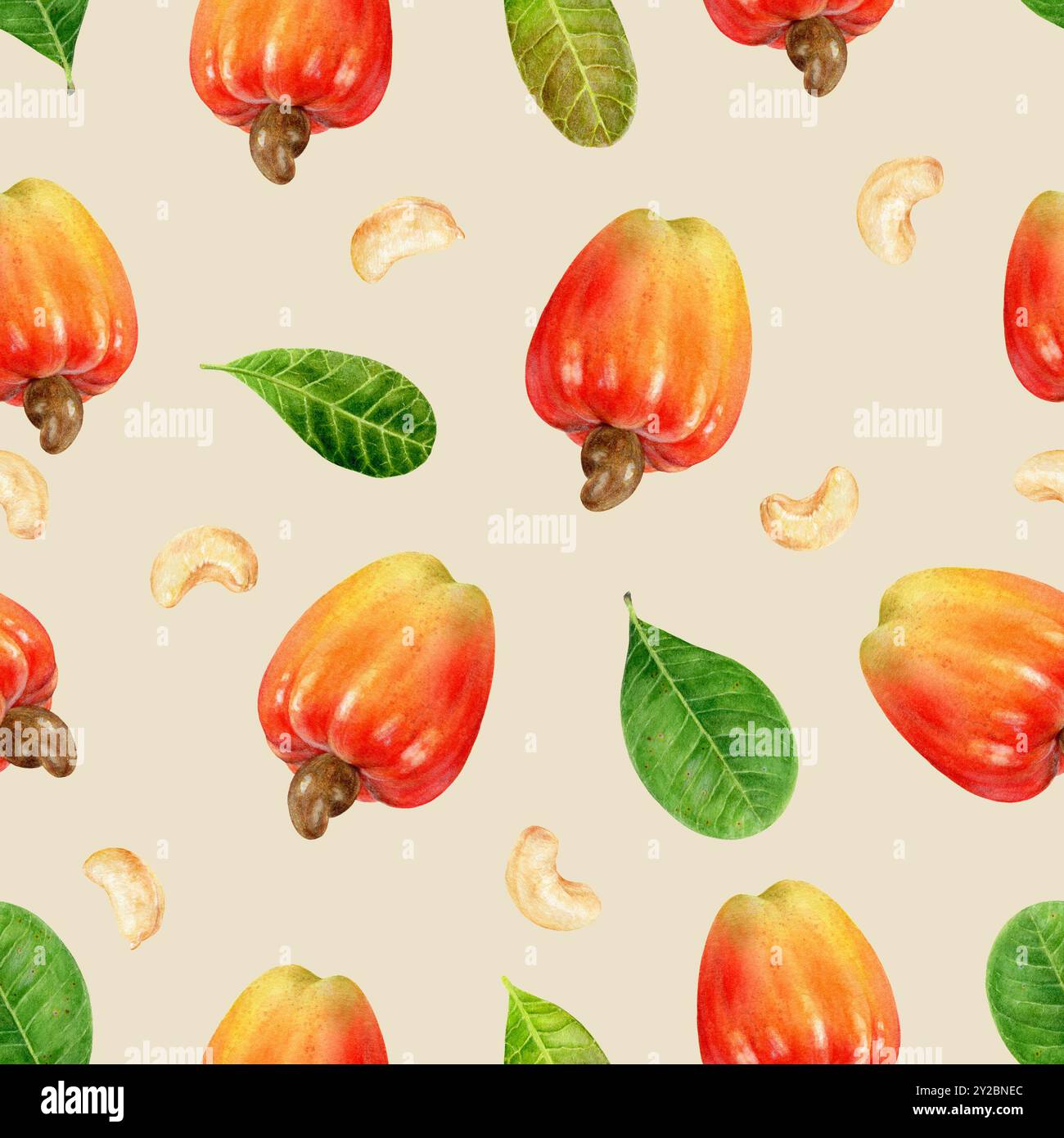Seamless Watercolor Cashew Fruit and Nut Pattern on Kraft Background ...