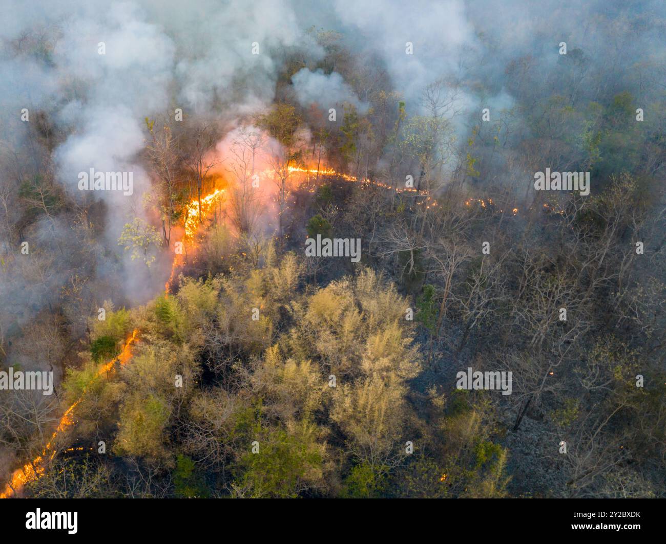 Climate change, Tropical wildfires release carbon dioxide (CO2 ...