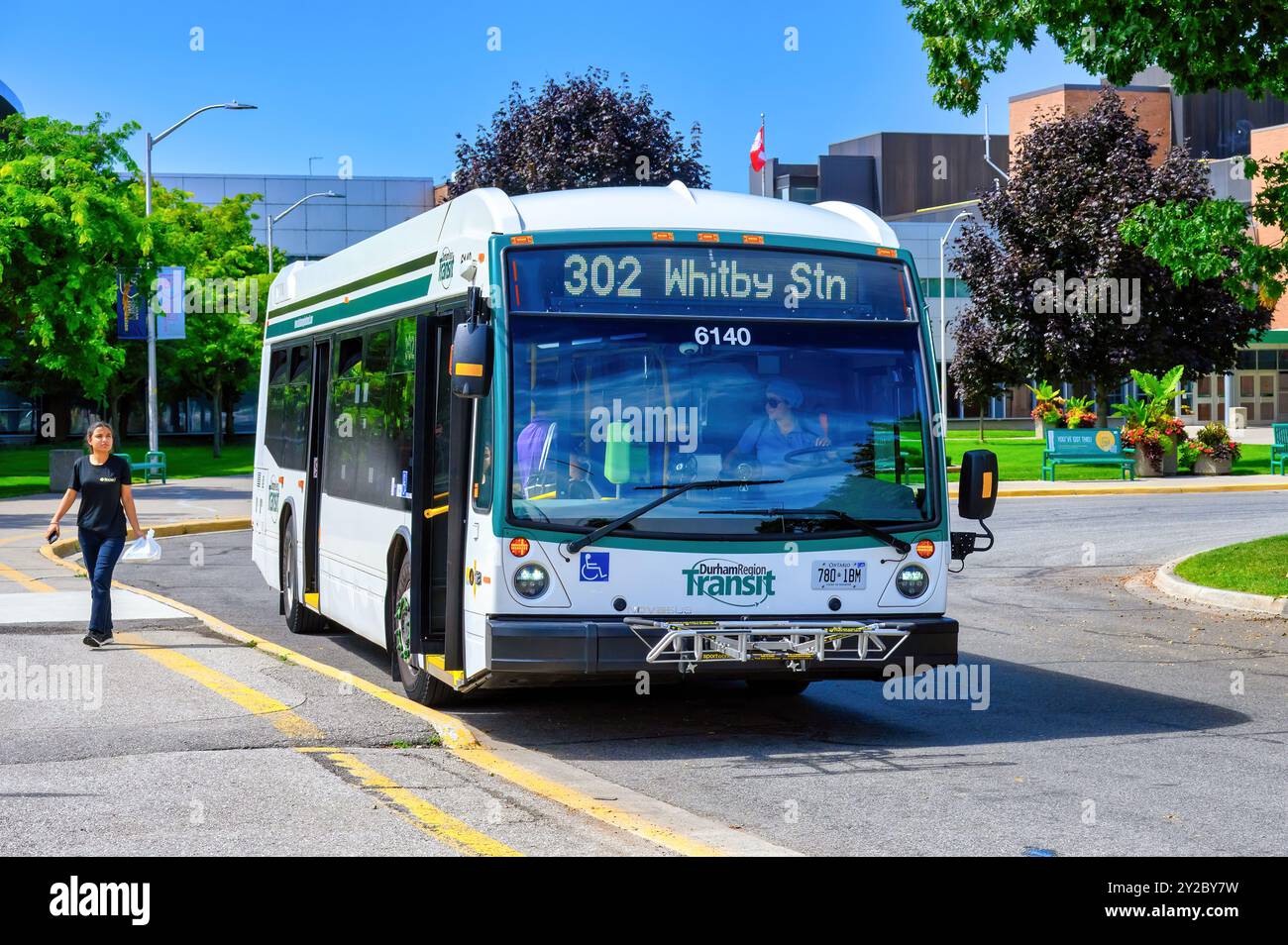 A woman walks past a Durham Region Transit bus Stock Photo - Alamy
