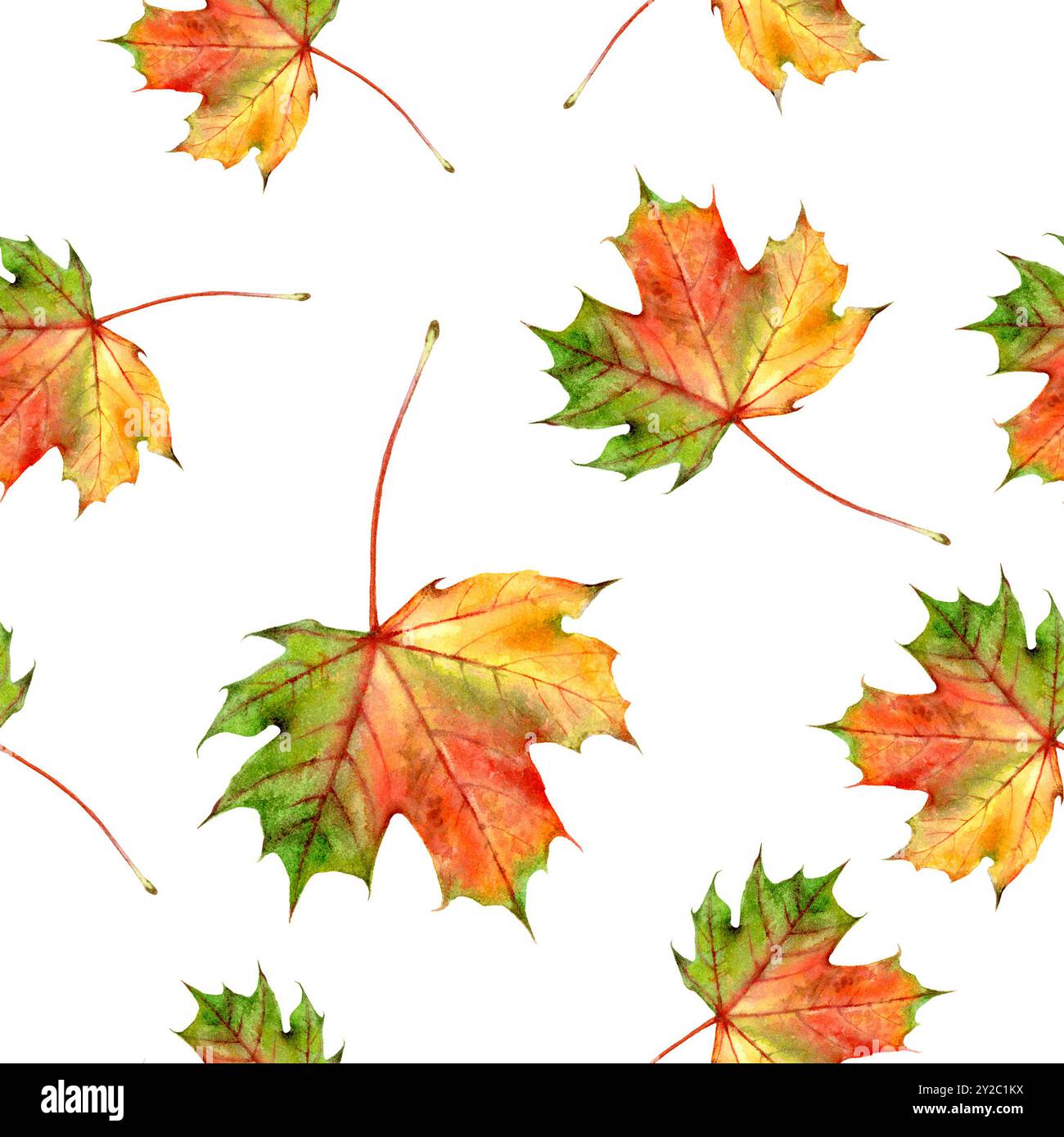 Vibrant autumn inspired pattern hi-res stock photography and images - Alamy