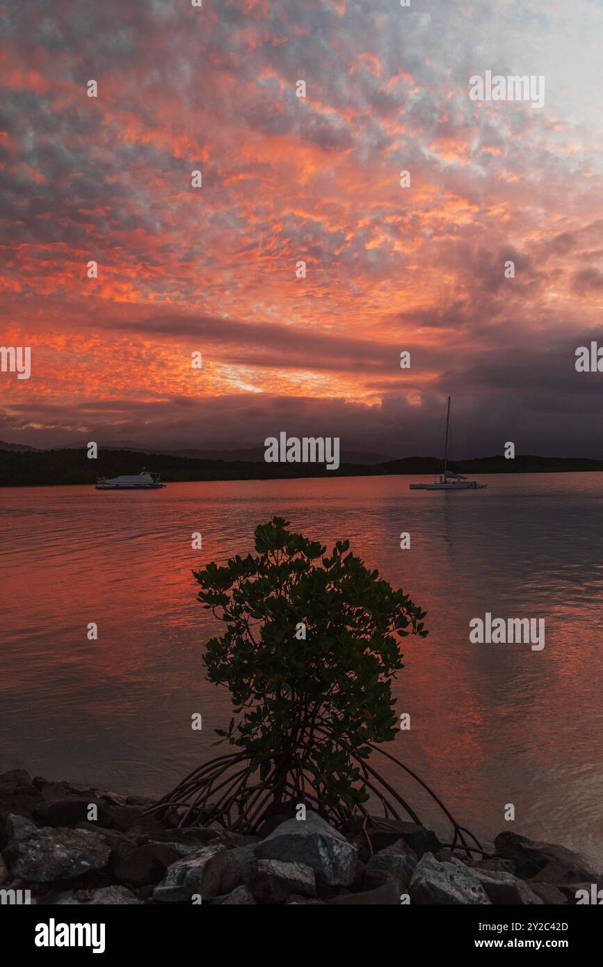 Scenic moody sunset over Port Douglas in Queensland, Australia Stock ...