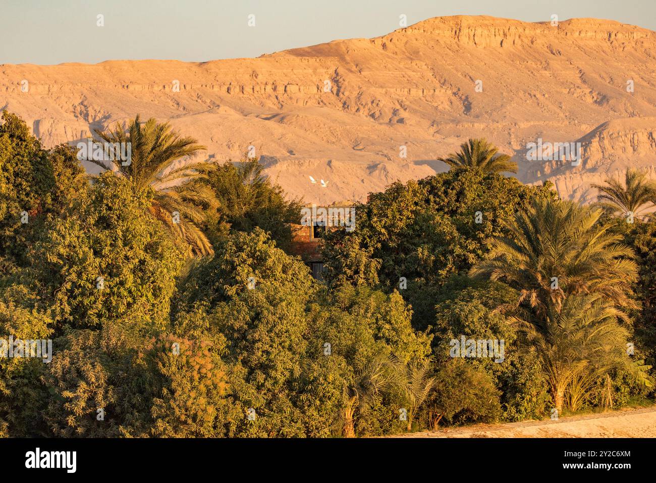 This landscape shows the spectacular contrast between the fertile Nile ...