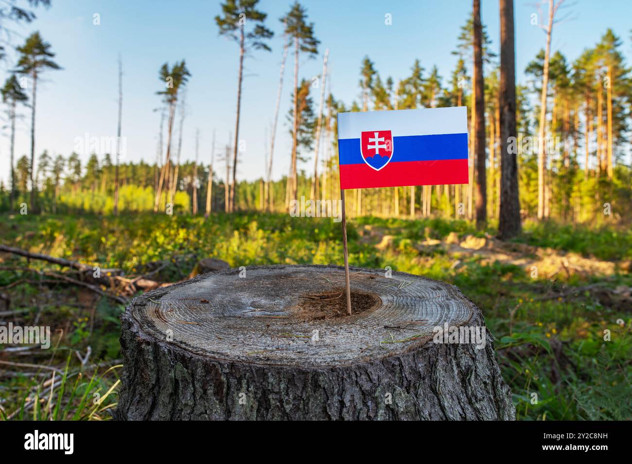 UN Climate Change Conference. Slovakia Deforestation. Ecological ...