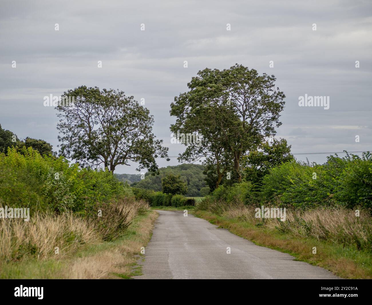 Country lane hi-res stock photography and images - Alamy