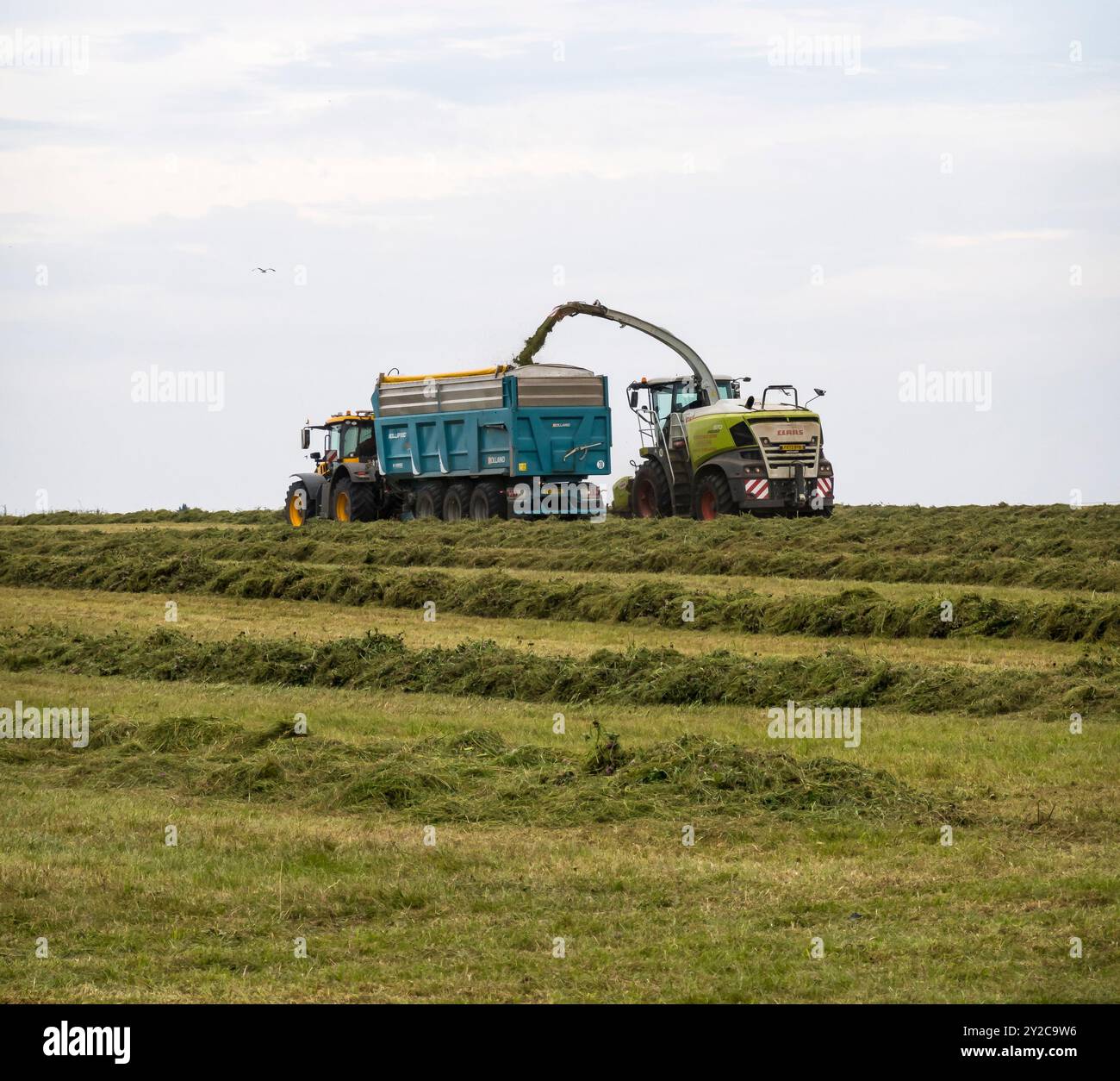 Harvesting Silage, Cherry Willingham, Lincoln, Lincolnshire, England ...