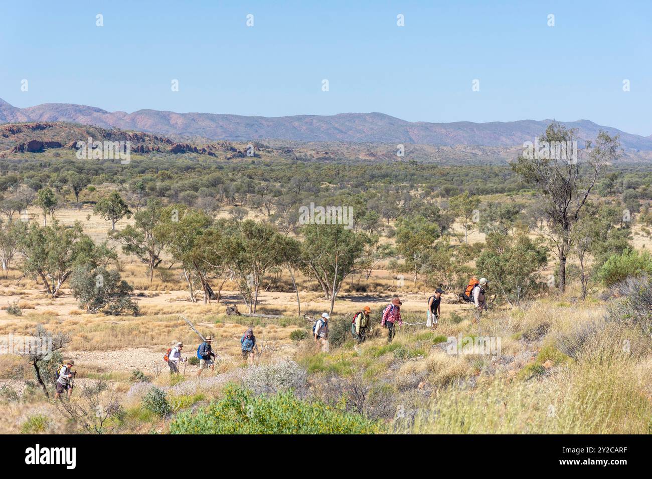 Hiking group at Mt Sonder Lookout, Mount Zeil, West MacDonnell National ...