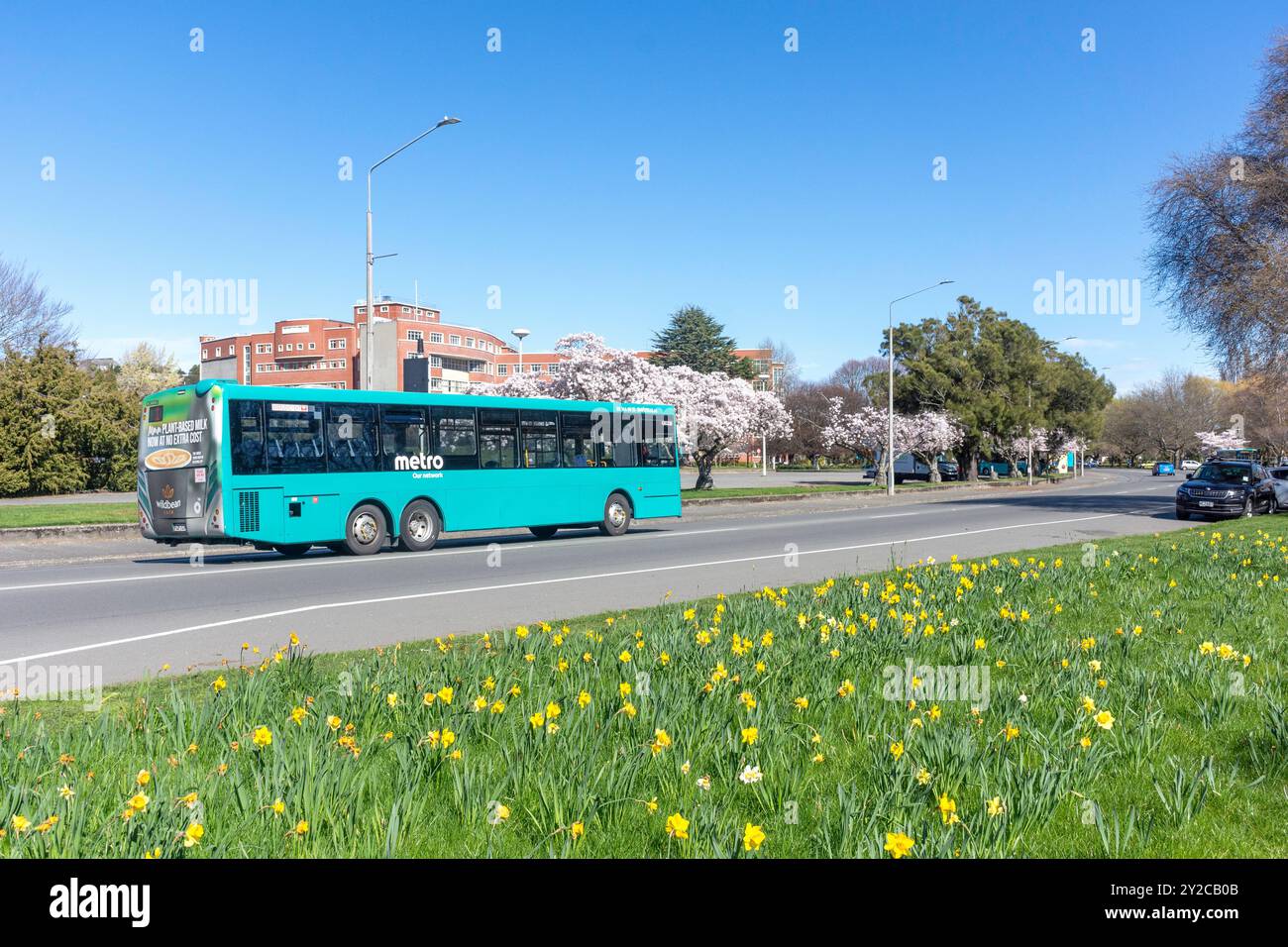 Bus new zealand hi-res stock photography and images - Alamy