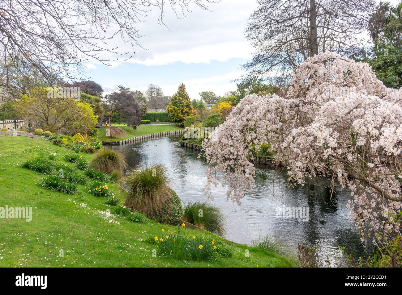 River Avon at Mona Vale Garden Park, Riccarton, Christchurch (Ōtautahi ...