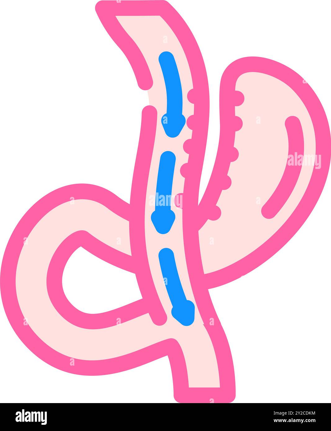 anastomosis surgery color icon vector illustration Stock Vector Image ...