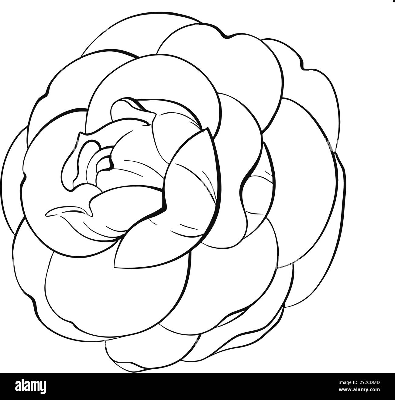 Wedding invitation card purple Black and White Stock Photos & Images ...