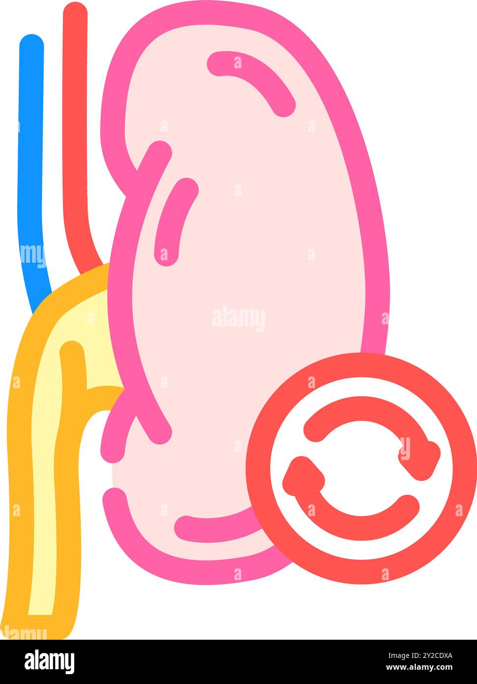 kidney transplant surgery color icon vector illustration Stock Vector ...