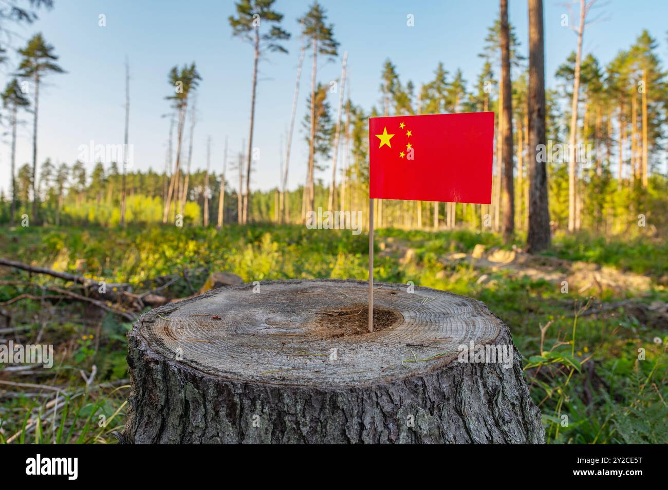 UN Climate Change Conference. China Deforestation. Ecological disaster ...