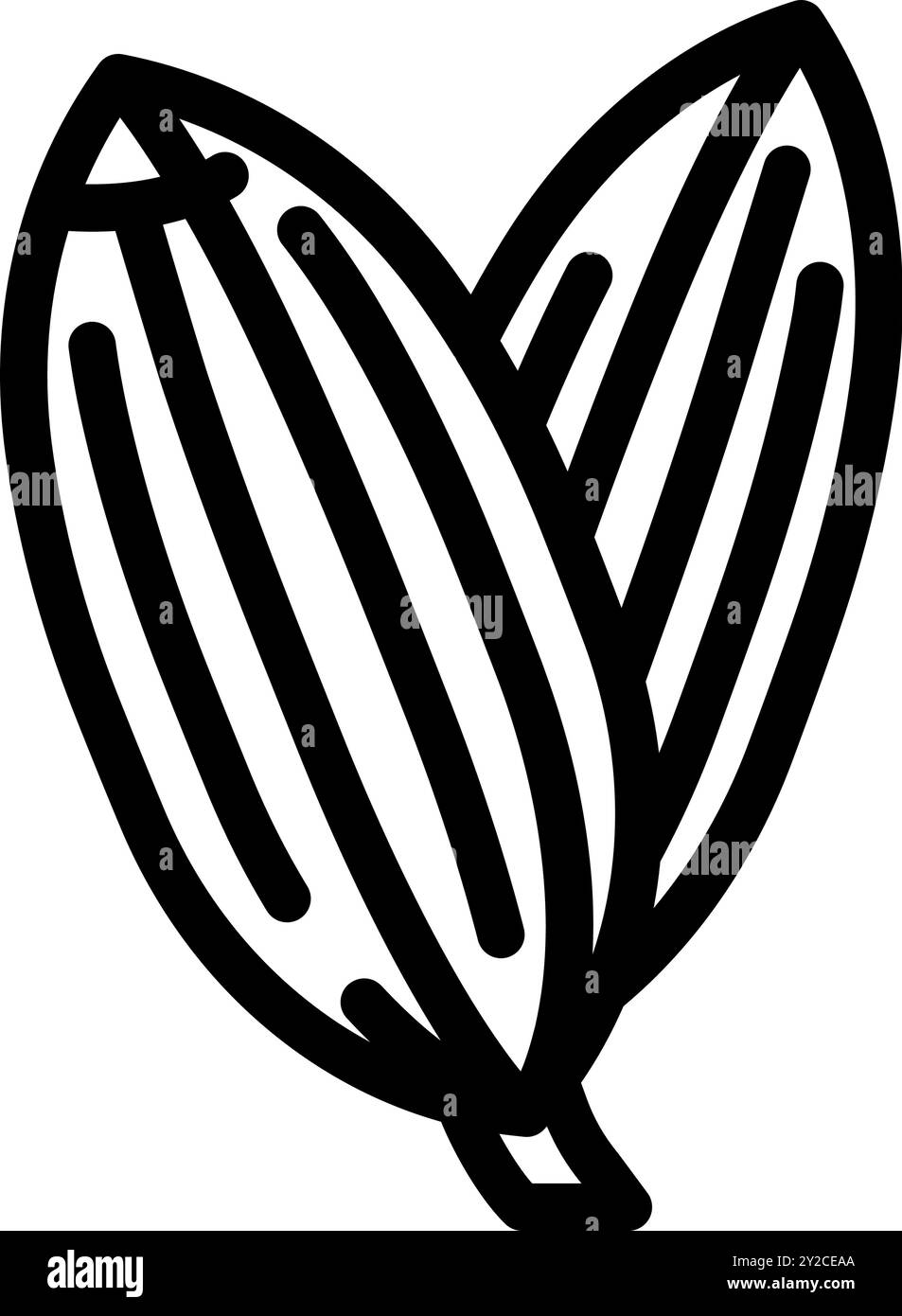 fennel seeds ayurvedic herb line icon vector illustration Stock Vector ...