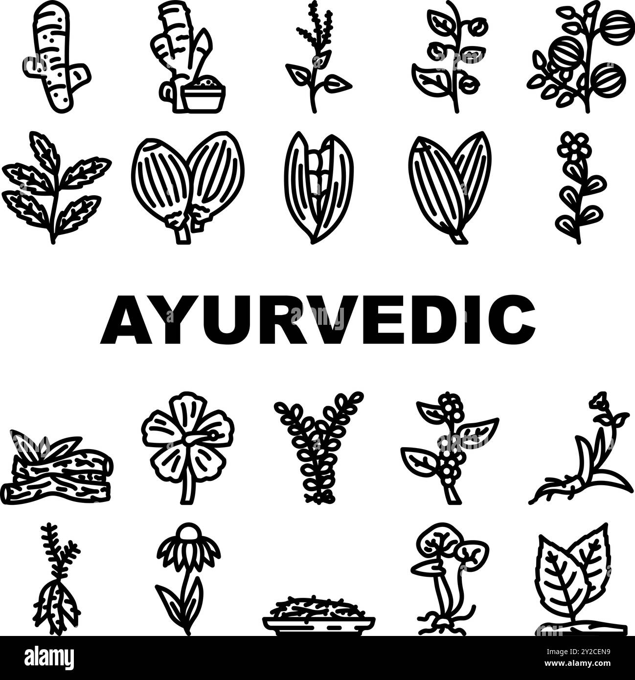 Ayurvedic herbs Black and White Stock Photos & Images - Alamy