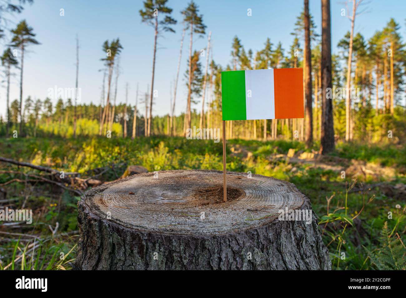 UN Climate Change Conference. Ireland Deforestation. Ecological ...