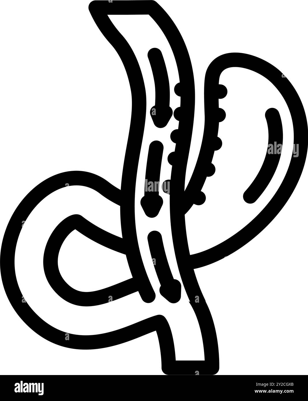 anastomosis surgery line icon vector illustration Stock Vector Image ...