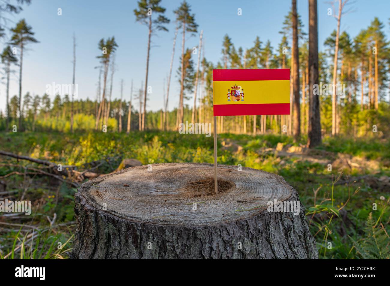 UN Climate Change Conference. Spain Deforestation. Ecological disaster ...