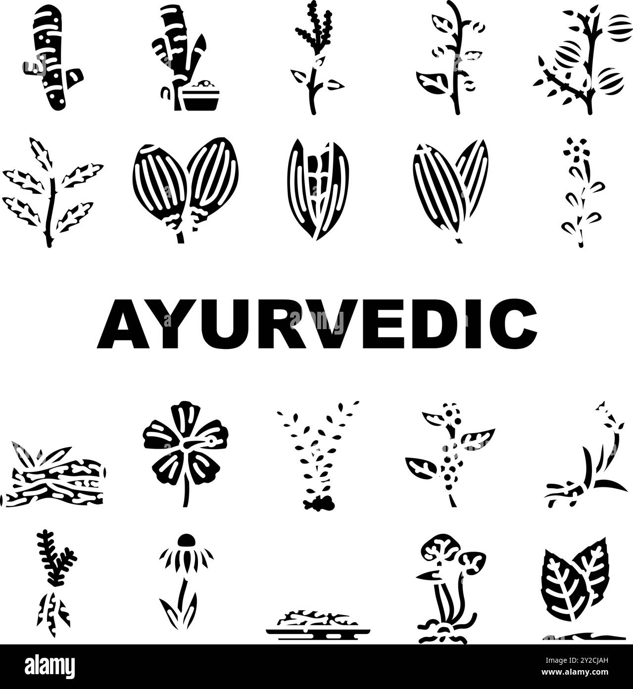 ayurvedic herbs medical icons set vector Stock Vector Image & Art - Alamy