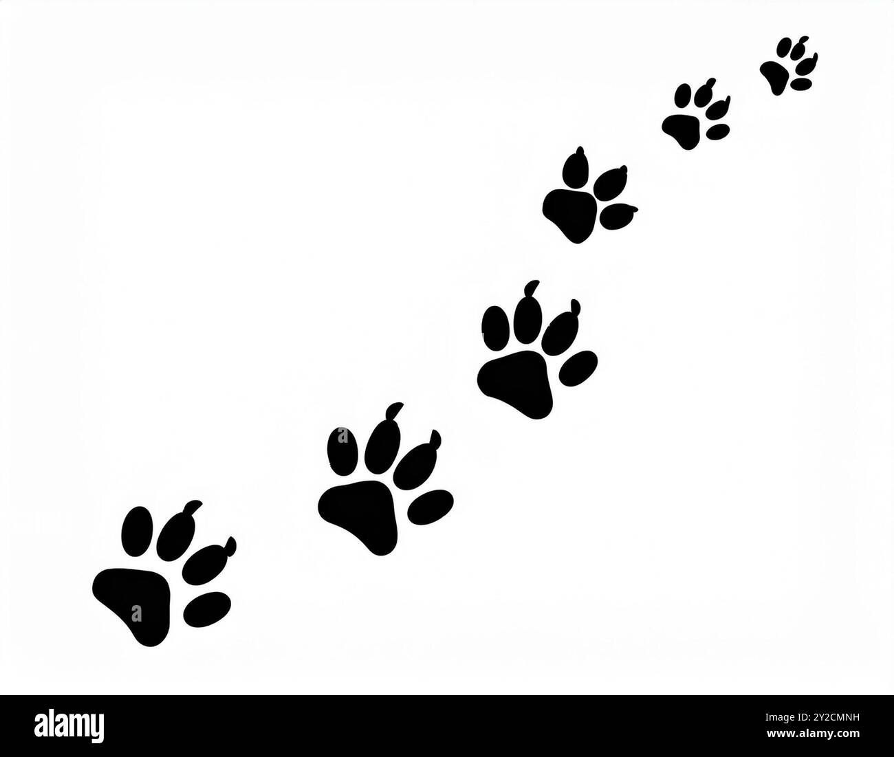 Cat's foot illustration hi-res stock photography and images - Alamy