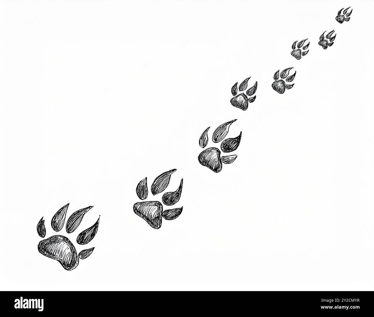 Animal paws illustration hi-res stock photography and images - Alamy