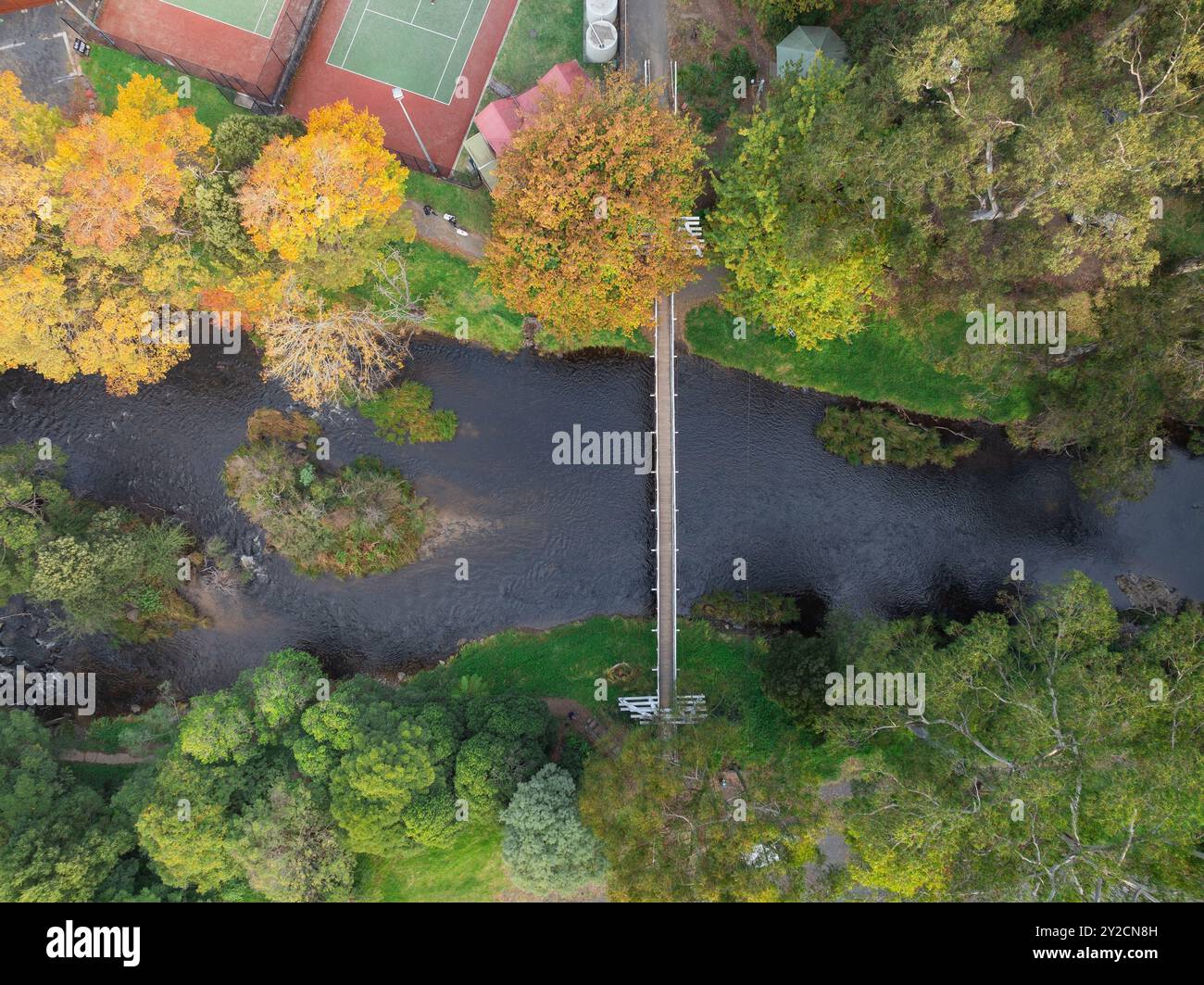 Aerial view of a swing bridge over a river with golden Autumn trees ...