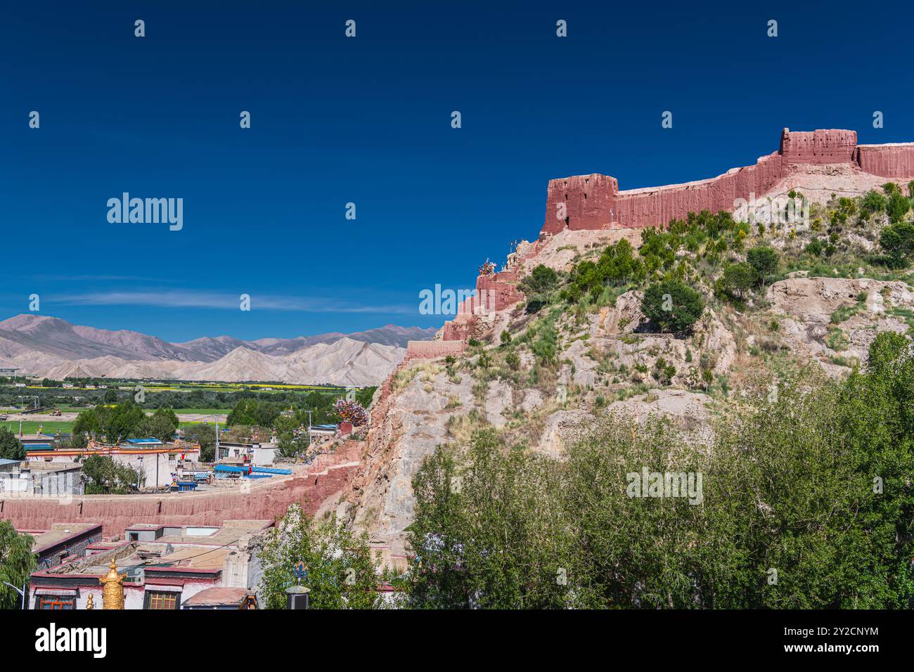 Overlook Gyangze Palkor Monastery (Baiju temple). Taken on the Gyangtse ...