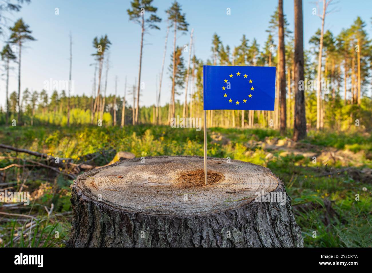 UN Climate Change Conference. Europe Deforestation. Ecological disaster ...